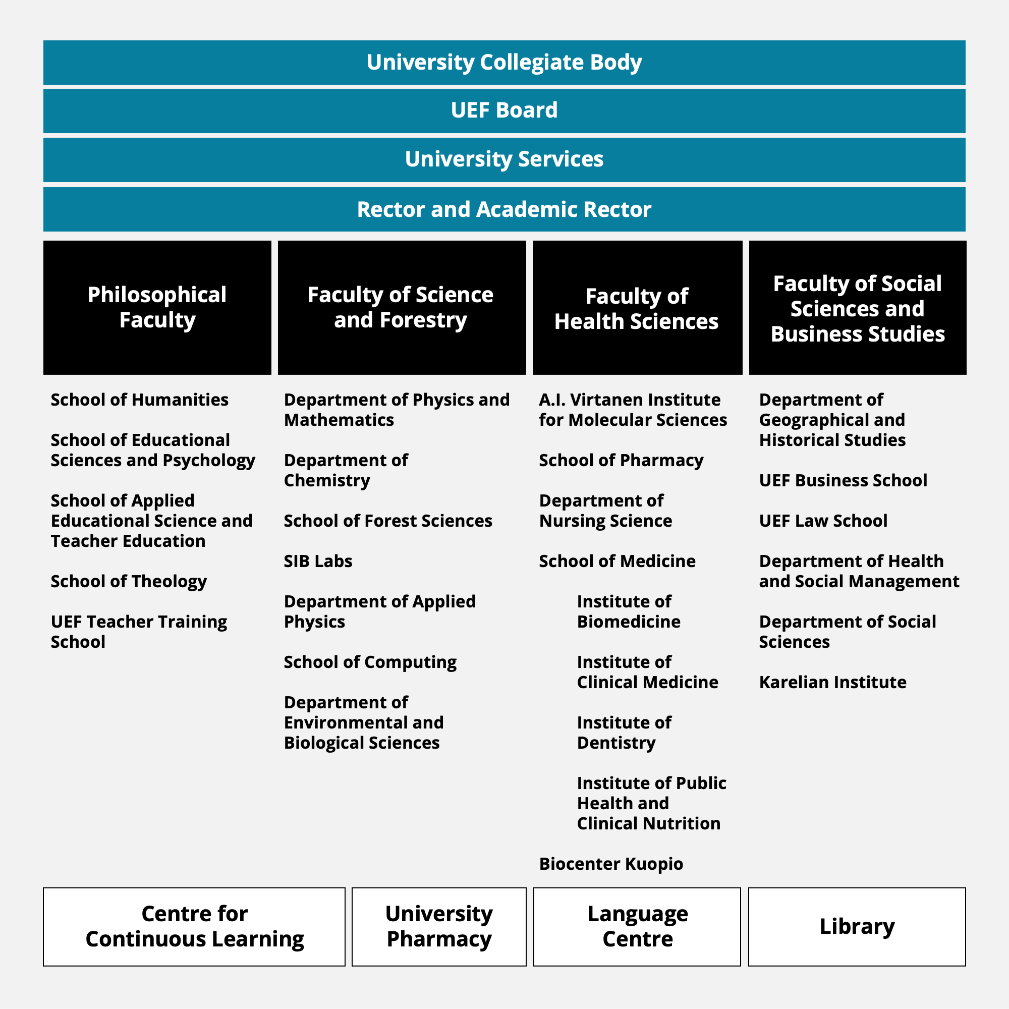 University | University of Eastern Finland