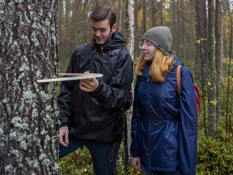 Master's Degree Programme in Forestry (Transatlantic Forestry ...