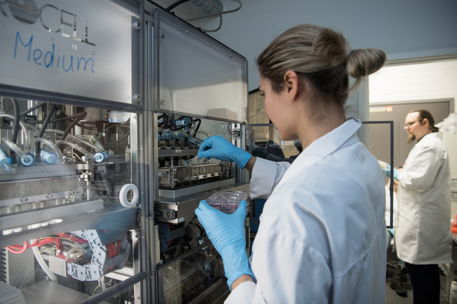 Climate change research infrastructure | University of Eastern Finland