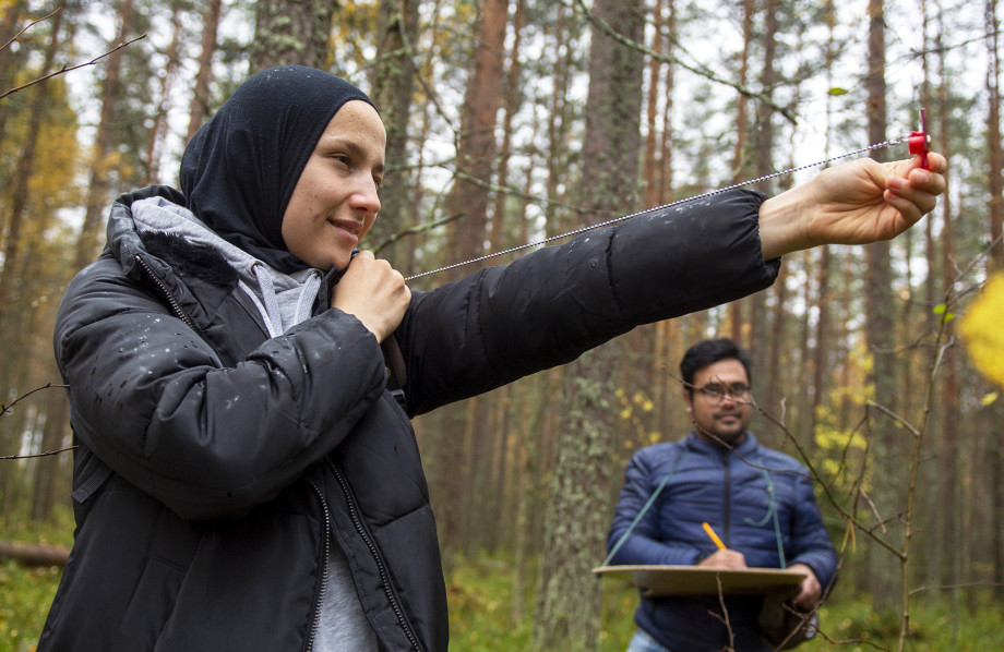 Master's Degree Programme in Forestry (Transatlantic Forestry ...