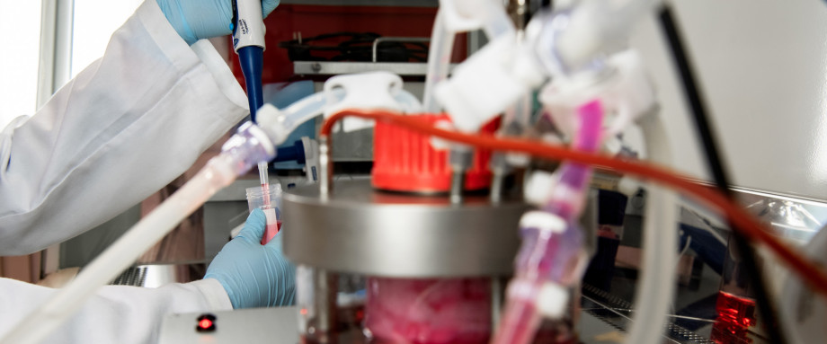 National virus vector laboratory | University of Eastern Finland