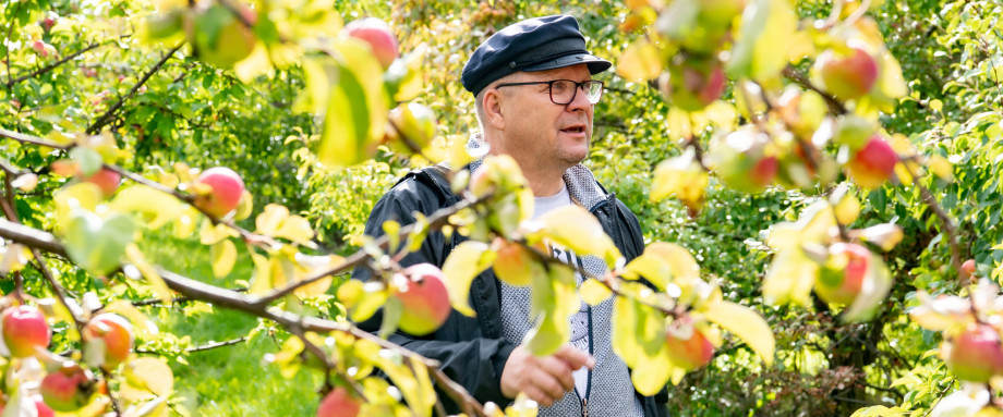 Frost resistant fruit trees are the result of years of research and ...