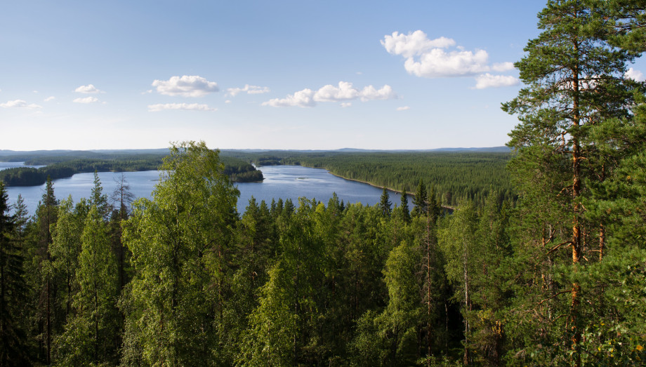 UNITE researchers awarded at the IUFRO World Congress | University of ...