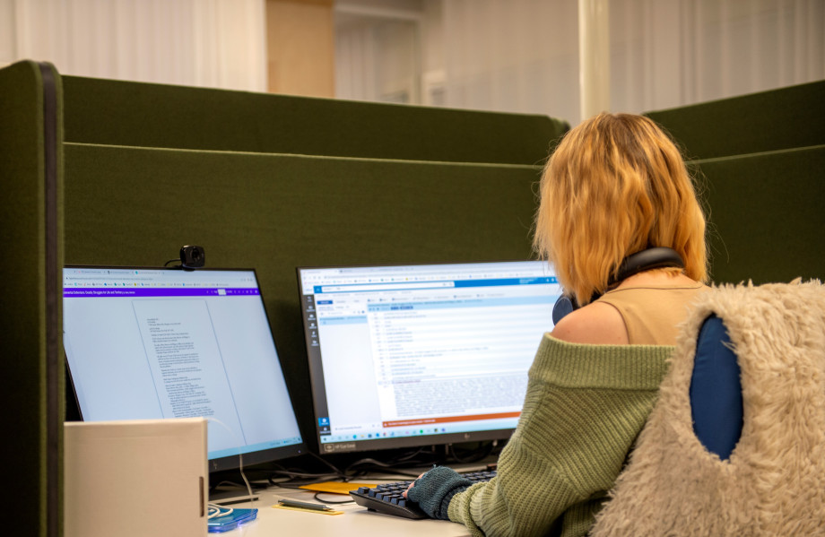 Library staff (UEF Library)