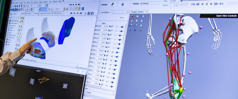 Human musculoskeletal function can be modelled through simulation ...