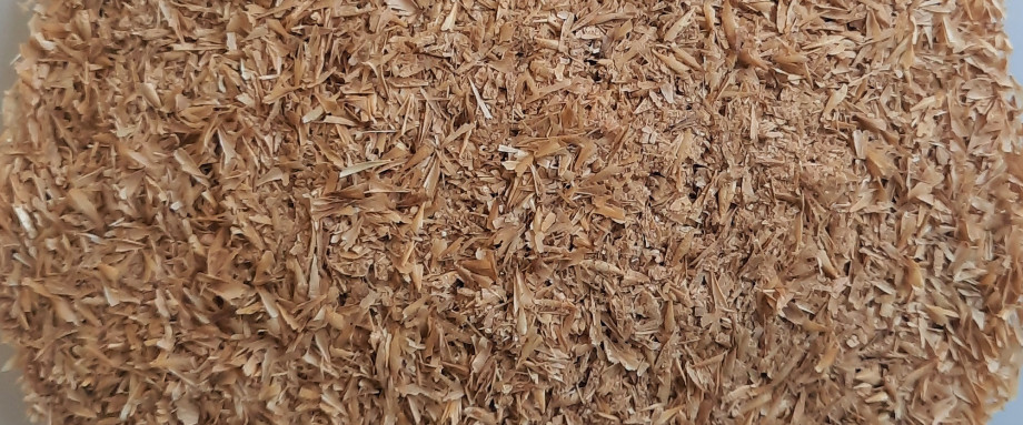 Doctoral defence of Ondřej Haluska, MSc, 28.1.2023: The cases of ...