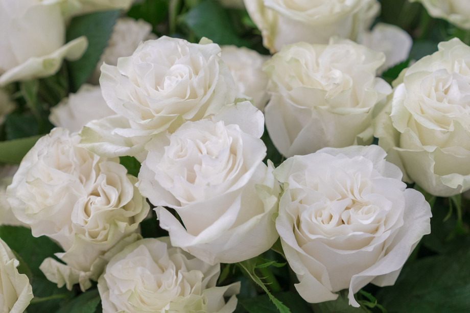 Suomen ulkomaankaupan edistämissäätiön apurahoja kauppatieteiden ...