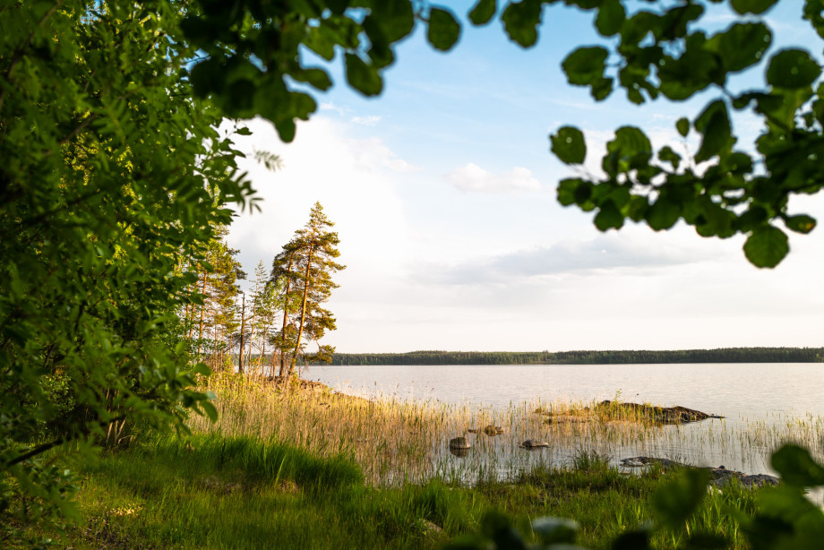 Doctoral defence of Anu Laakkonen, MSc, 29.9.2023: On the reconfiguring ...