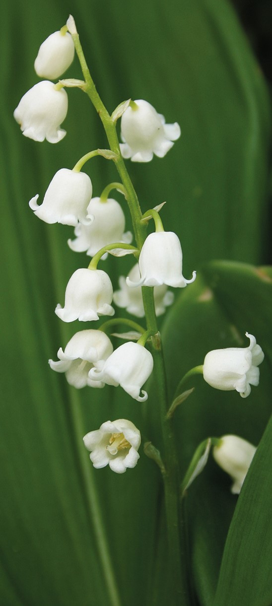 Palkittu luokanopettajaopiskelija | Itä-Suomen yliopisto
