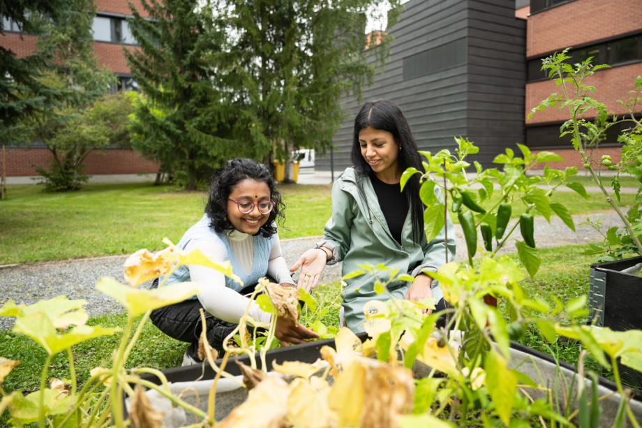 Master's Degree Programme in Environmental and Ecosystem Ecology ...