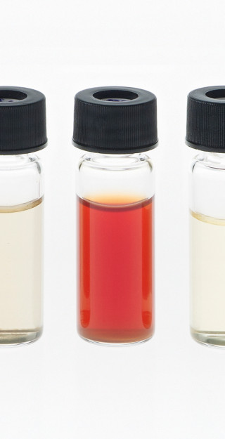 Researchers set eyes on bio-based chemicals and biochar | University of ...