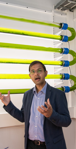 Mikrolevä puhdistaa jätevesiä ja tuottaa bioenergiaa | Itä-Suomen yliopisto